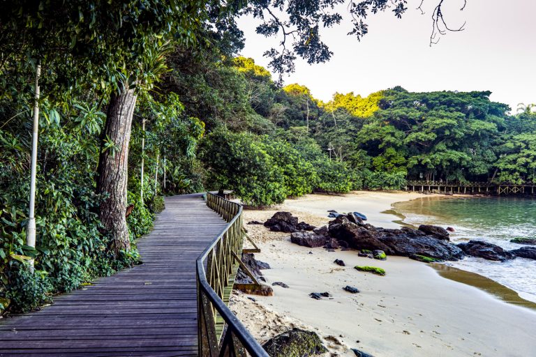 Deck Barra Norte - Balneário Camboriu - All Night Adventure