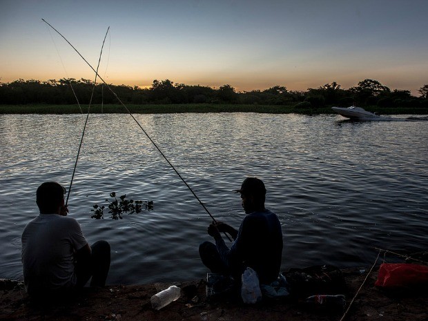 PESCARIA: Pesca de espécies nativas está proibida - Vvale